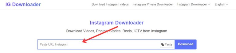 iGram: Download Instagram Videos in Seconds | TechAger